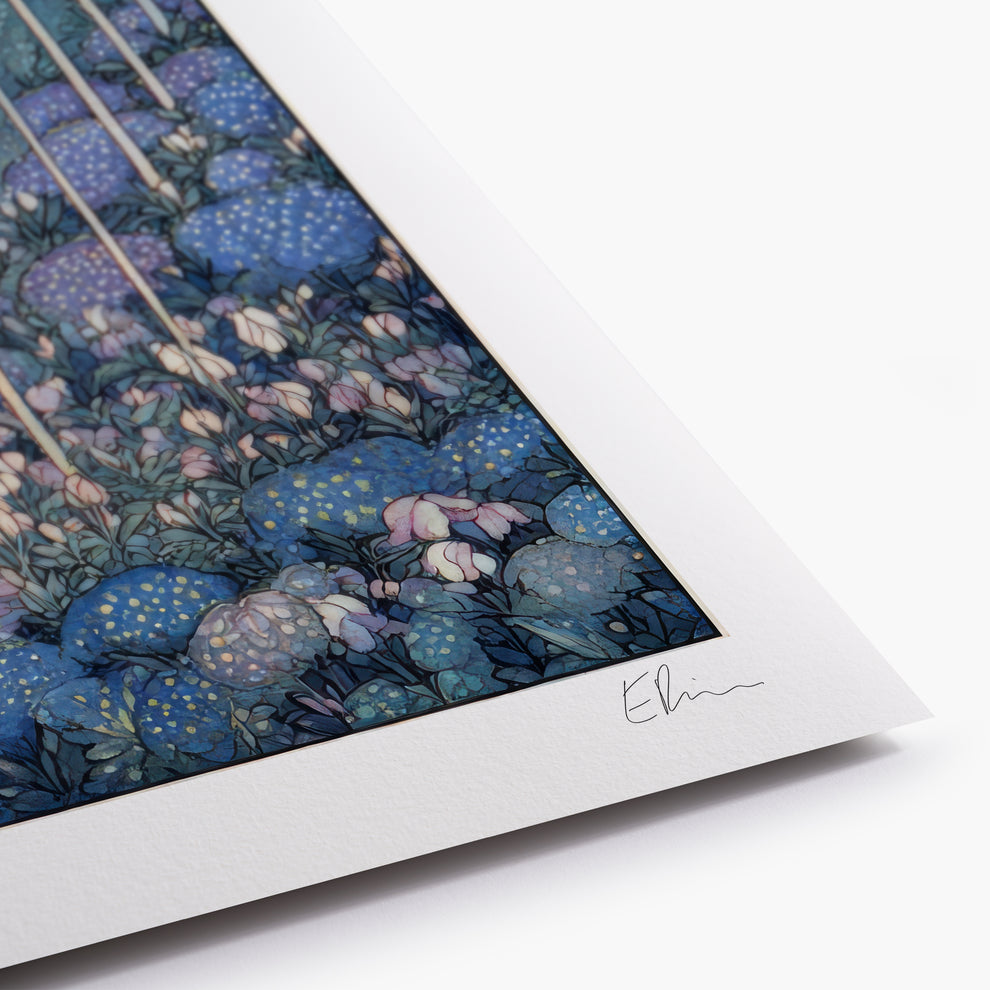 Perceforest – Oniric Limited